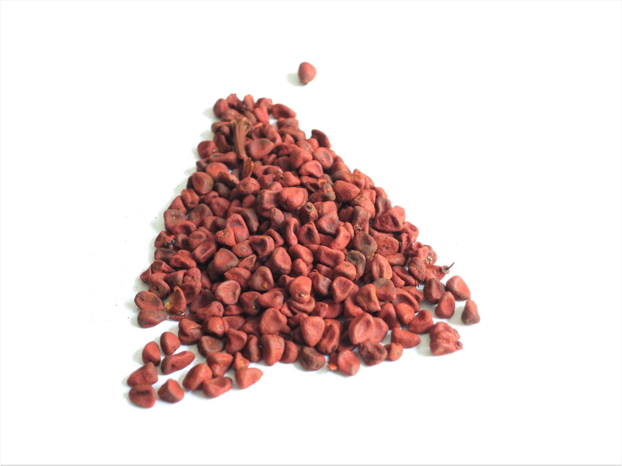 Rocou (graines), profil raffiné et élégant | Pomme d'Ambre